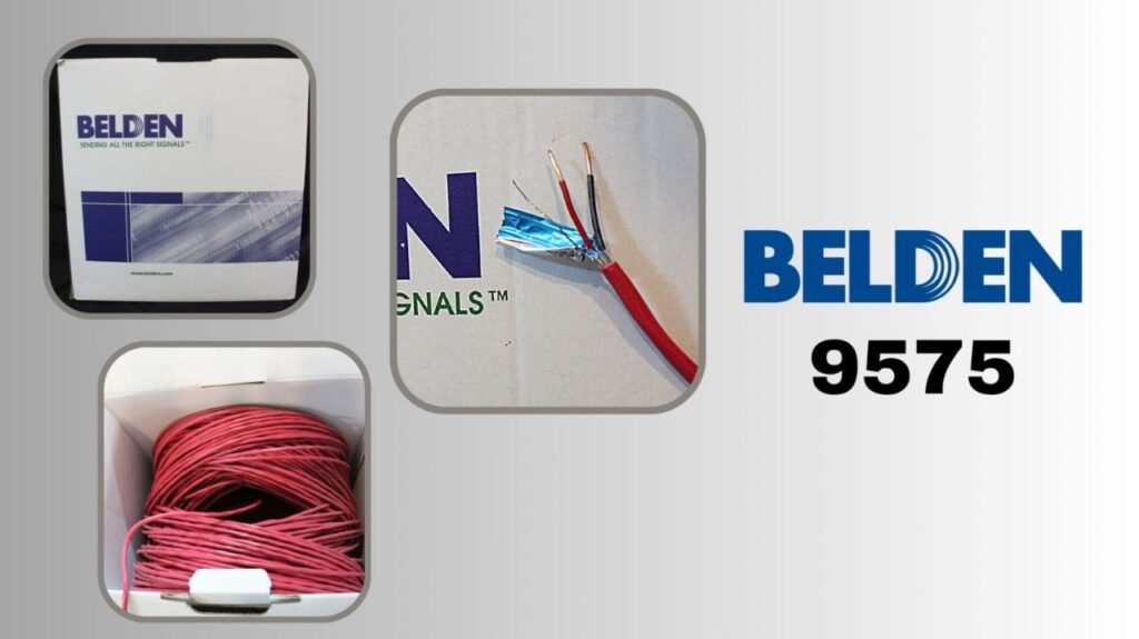 9575-2 - Saif Enterprise